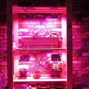 ACKE LED Grow Lights Full Spectrum,Plant Lights，Growing Lamps 12W for Indoor Plants,Hydropoincs