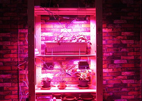 ACKE LED Grow Lights Full Spectrum,Plant Lights，Growing Lamps 12W for Indoor Plants,Hydropoincs