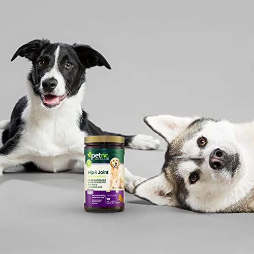 PetNC Natural Care Hip & Joint Mega Soft Chews