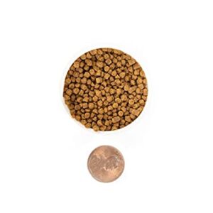 Josh's Frogs Aquatic African Dwarf Frog Food Pellets (1.85 oz)