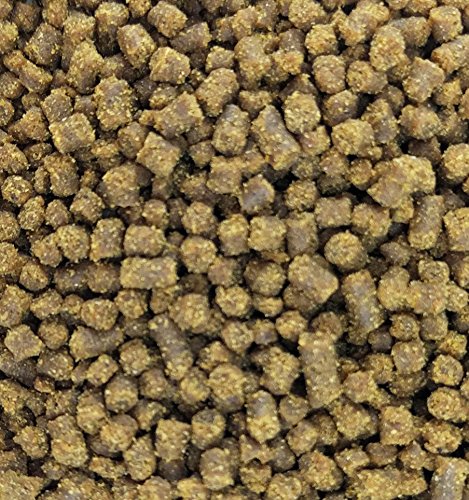 Josh's Frogs Aquatic African Dwarf Frog Food Pellets (1.85 oz)