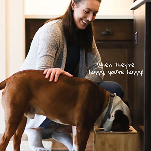 Pawfect Pets Elevated Dog Bowl Stand- 7" Raised Dog Bowl for Medium Dogs. Pet Feeder with Four Stainless Steel Bowls.