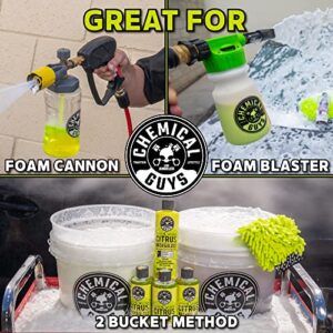 Chemical Guys HOL133 Ultimate Scratch-Free Detailing Bucket And Accessories Car Wash Kit 16 fl. oz