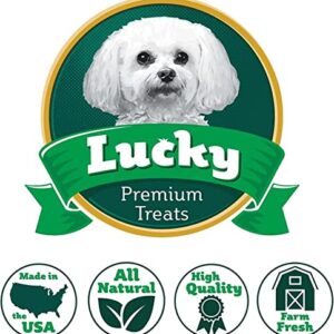 Lucky Premium Treats Chicken Wrapped Rawhide – All-Natural Rawhide and Chicken Dog Treats, Gluten Free Premium Small Dog Treats (20 Chews)