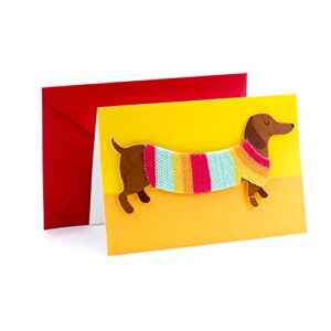 hallmark signature birthday card with removable dachshund magnet (dog in sweater)