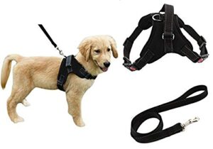 heavy duty adjustable pet puppy dog safety harness with leash lead set reflective no-pull breathable padded dog leash collar chest harness vest with handle for small medium large dogs training walking