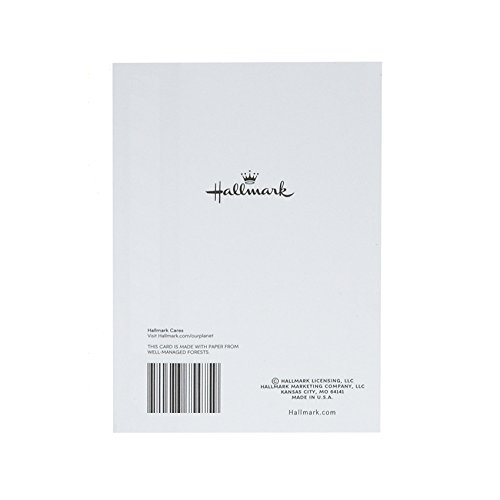 Hallmark Congratulations Card or Graduation Card (Congrats!, Blank Inside)