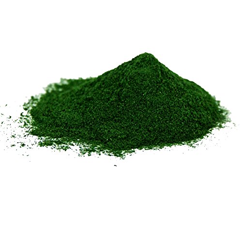 Josh's Frogs Spirulina Powder (1.75 oz)