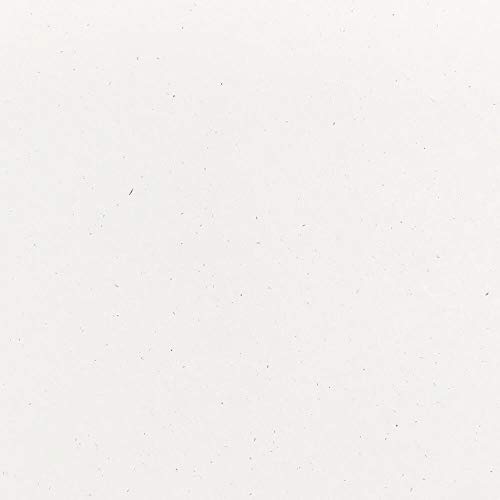 TRUE WHITE SPECKLETONE 100% Off-White Recycled Cardstock Paper - 12 x 12 inch - PREMIUM 80 LB. COVER - 25 Sheets