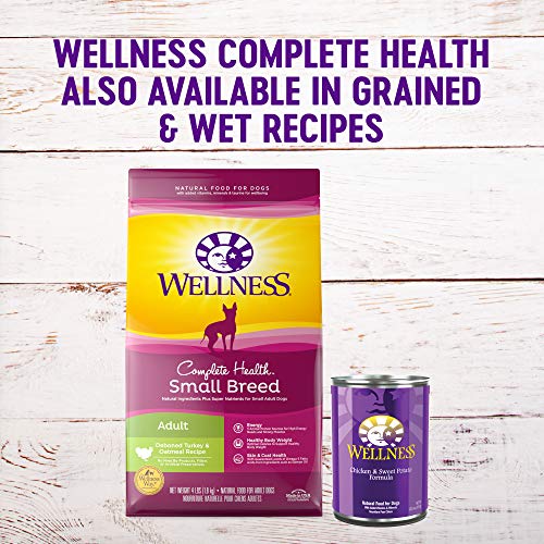 Wellness Complete Health Grain-Free Small Breed Dry Dog Food, Natural Ingredients, Made in USA with Real Turkey, For All Lifestages (Turkey, Chicken & Salmon, 11-Pound Bag)