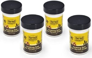 hermit headquarters hermit crab soaking salt