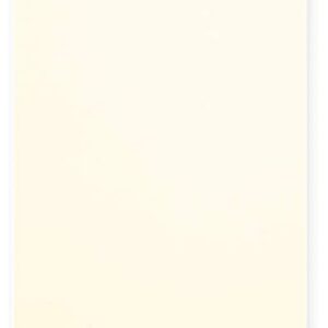 WHITEWASH WHITE 100% Recycled Cardstock Paper - 8.5 x 11 inch Premium 100 lb. Cover - 25 Sheets from Cardstock Warehouse