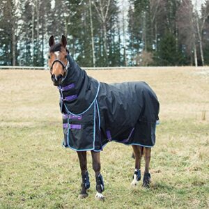 HORZE B Vertigo Georgina Turnout Rug