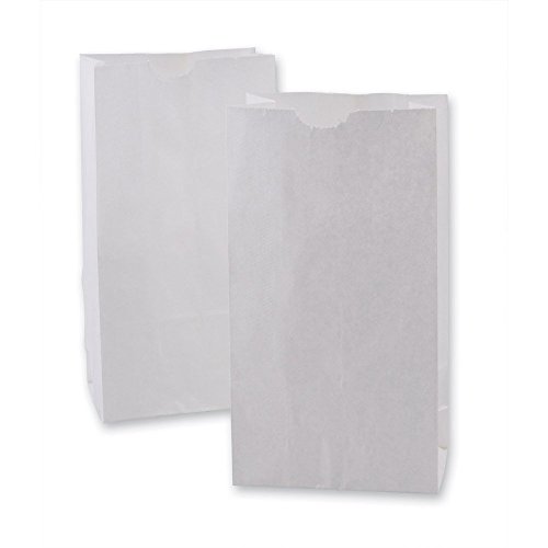 Green Direct White Durable Paper Lunch Bags size small for All Ages Pack of 100