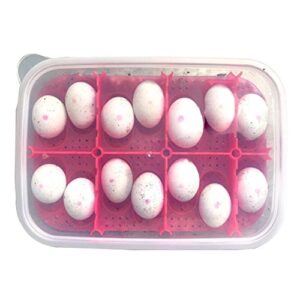 OMEM Reptile Breeding Box Reptile Lizard Incubation Box, Hatchery Box, Suitable for Hatching Snake, Lizards, Lions Mane, Reptiles (Random Color)