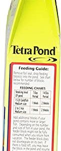 (4 Pack) TetraPond Vacation Food Slow Release Feeder Block, 3.45 Ounce Each