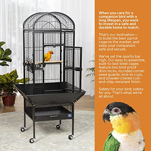 Prevue Pet Products 34511 Dometop Bird Cage, Small, Black Hammertone