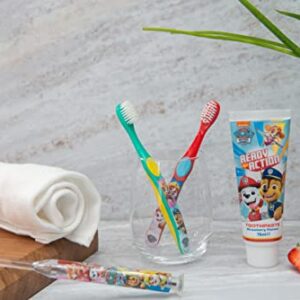 Paw Patrol Flashing Toothbrush