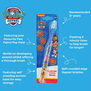 Paw Patrol Flashing Toothbrush