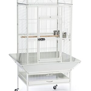 Prevue Pet Products 34522 Dometop Bird Cage, Large, Chalk White