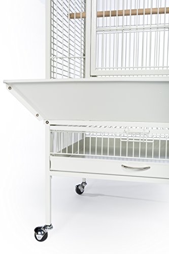 Prevue Pet Products 34522 Dometop Bird Cage, Large, Chalk White