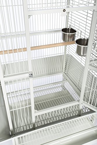 Prevue Pet Products 34522 Dometop Bird Cage, Large, Chalk White