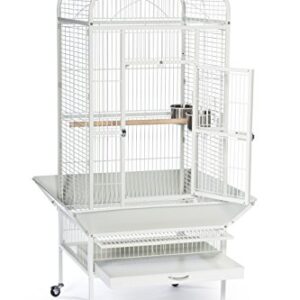 Prevue Pet Products 34522 Dometop Bird Cage, Large, Chalk White