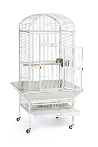 Prevue Pet Products 34522 Dometop Bird Cage, Large, Chalk White