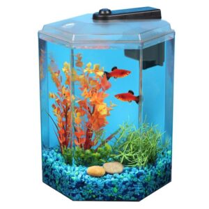 imagitarium 1.7 gallon hexagonal aquarium