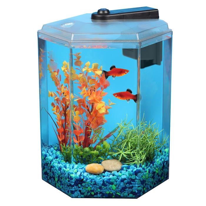 Imagitarium 1.7 Gallon Hexagonal Aquarium