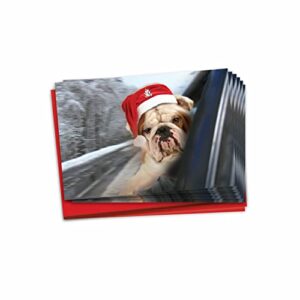 the best card company pack of 12 christmas greeting cards with envelopes, adult cartoon, humor holiday box for men and women (1 designs, 12 each) - doggie in the window b6481fxsg