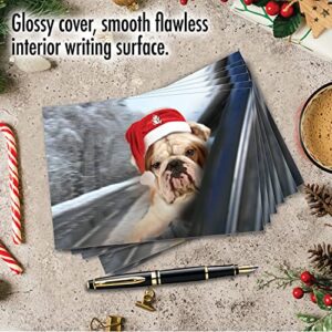 The Best Card Company Pack of 12 Christmas Greeting Cards with Envelopes, Adult Cartoon, Humor Holiday Box for Men and Women (1 Designs, 12 Each) - Doggie In The Window B6481FXSG