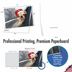 The Best Card Company Pack of 12 Christmas Greeting Cards with Envelopes, Adult Cartoon, Humor Holiday Box for Men and Women (1 Designs, 12 Each) - Doggie In The Window B6481FXSG