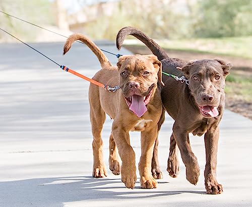 WIGZI (2 Two Dog Reflective Retractable Pet Leash – 360 Degree Zero Tangle Patent - Two Dogs Each up to 50 lbs and 10ft. Reflective Orange and Green Leads. Dual Locking, Small, Gray