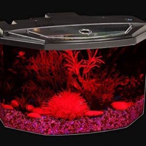 Koller Products Plastic 3-Gallon Aquarium Starter Kit with 7 Colors LED Lighting and Complete Filtration, Ideal for a Variety of Tropical Fish , Betta Fish, Tropical Fish, Cichlids, Ornamental Shrimp