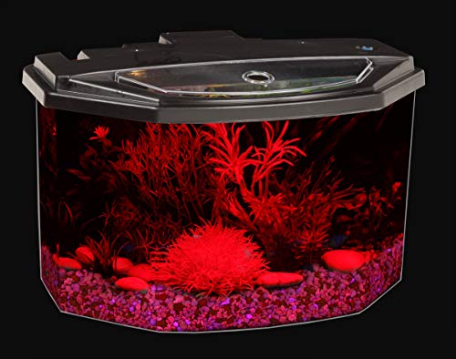 Koller Products Plastic 3-Gallon Aquarium Starter Kit with 7 Colors LED Lighting and Complete Filtration, Ideal for a Variety of Tropical Fish , Betta Fish, Tropical Fish, Cichlids, Ornamental Shrimp