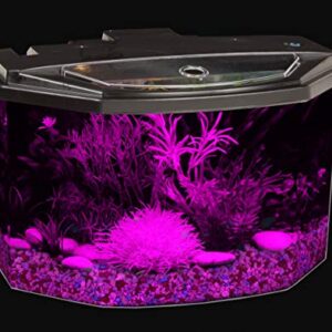 Koller Products Plastic 3-Gallon Aquarium Starter Kit with 7 Colors LED Lighting and Complete Filtration, Ideal for a Variety of Tropical Fish , Betta Fish, Tropical Fish, Cichlids, Ornamental Shrimp