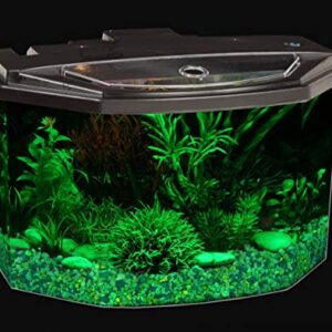 Koller Products Plastic 3-Gallon Aquarium Starter Kit with 7 Colors LED Lighting and Complete Filtration, Ideal for a Variety of Tropical Fish , Betta Fish, Tropical Fish, Cichlids, Ornamental Shrimp