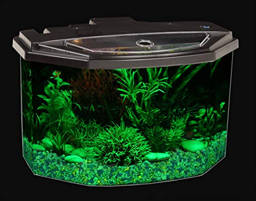 Koller Products Plastic 3-Gallon Aquarium Starter Kit with 7 Colors LED Lighting and Complete Filtration, Ideal for a Variety of Tropical Fish , Betta Fish, Tropical Fish, Cichlids, Ornamental Shrimp