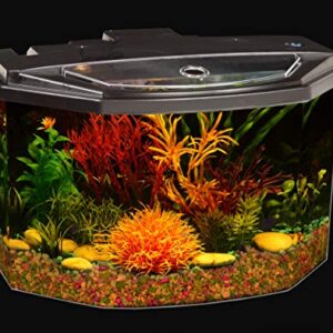 Koller Products Plastic 3-Gallon Aquarium Starter Kit with 7 Colors LED Lighting and Complete Filtration, Ideal for a Variety of Tropical Fish , Betta Fish, Tropical Fish, Cichlids, Ornamental Shrimp