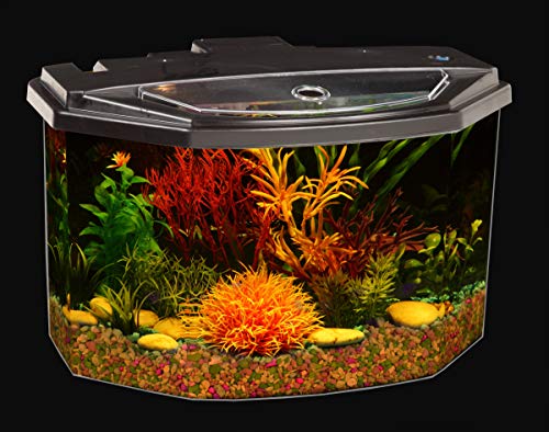 Koller Products Plastic 3-Gallon Aquarium Starter Kit with 7 Colors LED Lighting and Complete Filtration, Ideal for a Variety of Tropical Fish , Betta Fish, Tropical Fish, Cichlids, Ornamental Shrimp