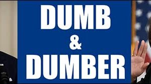 Biden and Kamala Dumb and Dumber Bumper Sticker (Funny Anti Joe and Harris Vinyl Decal (3 x 9 inch)