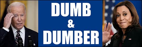 Biden and Kamala Dumb and Dumber Bumper Sticker (Funny Anti Joe and Harris Vinyl Decal (3 x 9 inch)