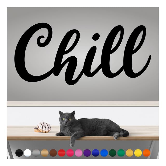 Transform Your Walls with Professional Grade, Outdoor Weatherproof Vinyl Stickers - Happy Sunday - UV Resistant, Made in The USA! Inspirational Words: Chill: 14 Inch, Satin Silver