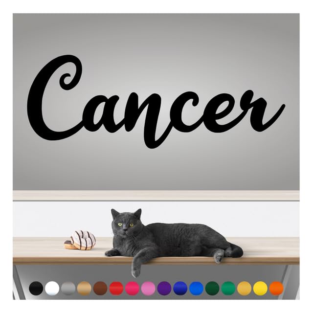 Transform Your Walls with Professional Grade, Outdoor Weatherproof Vinyl Stickers - Happy Sunday - UV Resistant, Made in The USA! Inspirational Words: Cancer: 14 Inch, Satin Silver