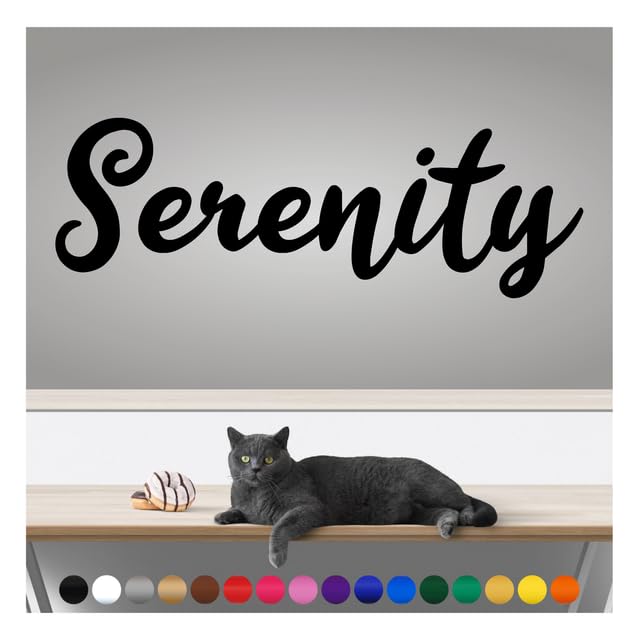 Transform Your Walls with Professional Grade, Outdoor Weatherproof Vinyl Stickers - Happy Sunday - UV Resistant, Made in The USA! Inspirational Words: Serenity: 14 Inch, Satin Silver