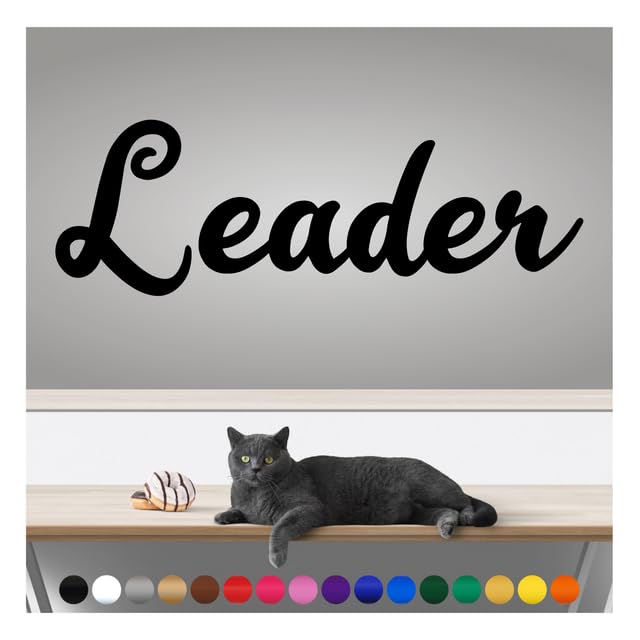 Transform Your Walls with Professional Grade, Outdoor Weatherproof Vinyl Stickers - Happy Sunday - UV Resistant, Made in The USA! Inspirational Words: Leader: 14 Inch, Satin Silver