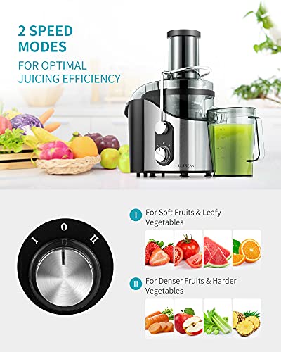 Ultrean Juicer Machine, 800w Juicer with Big Mouth 3” Feed Chute, Dual Speeds Centrifugal Juice Maker for Fruits and Veggies, Easy to Clean and BPA Free