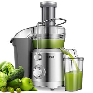 1300w gdor juicer with larger 3.2” feed chute for whole fruits and veggies, titanium enhanced cut disc, full copper motor heavy duty centrifugal juice extractor machines, dual speeds, bpa-free, silver