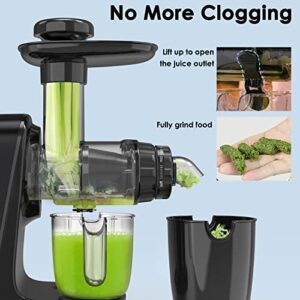 Juicer Machines, NXONE Cold Press Juicer for Vegetable and Fruit, Slow Masticating Juicer with 3 Speed Modes, Slow Juicer with Quiet Motor & Reverse Function, Easy to Clean with Brush, Black